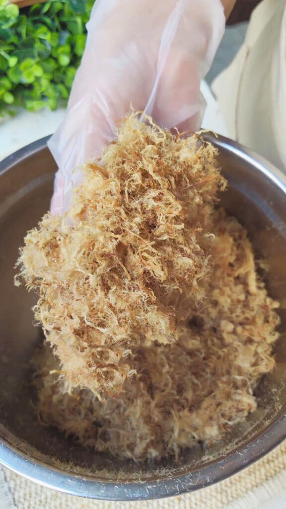 Homemade Pork Floss Recipe - Nana With Chopstick