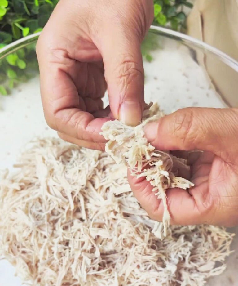 Homemade Pork Floss Recipe - Nana With Chopstick