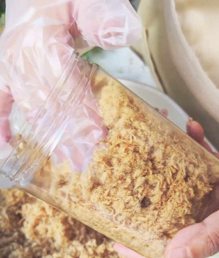 Homemade Pork Floss Recipe - Nana With Chopstick