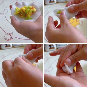 Crystal Dumplings Recipe - Nana With Chopstick