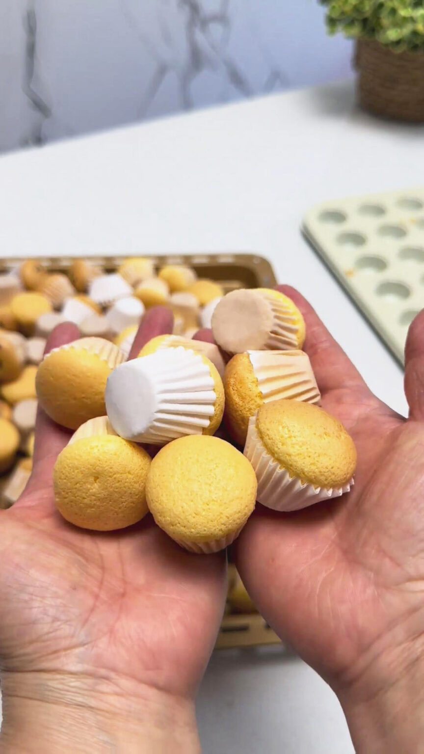 Perfect Mini Cupcakes (Light & Fluffy!) - Nana With Chopstick
